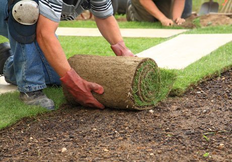 Quick turf delivery in Medway