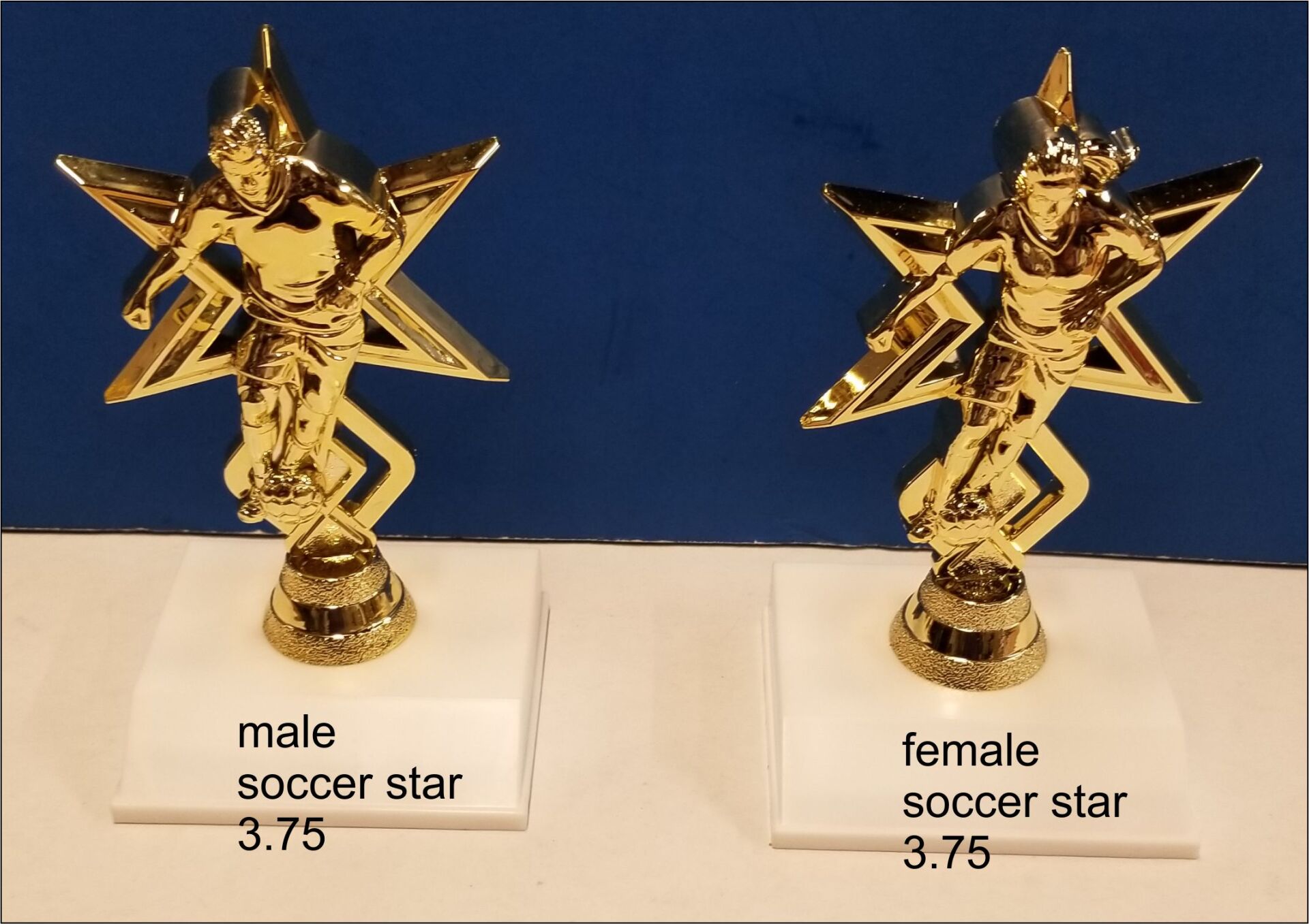 Trophies for events in Hawaii