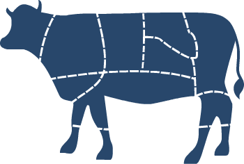 Sales & Distribution