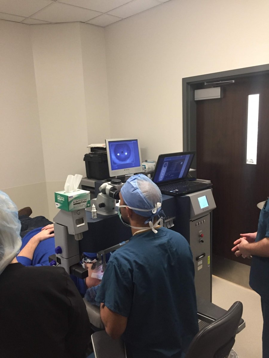 Meet The Bostons-Their Surgical Experience!