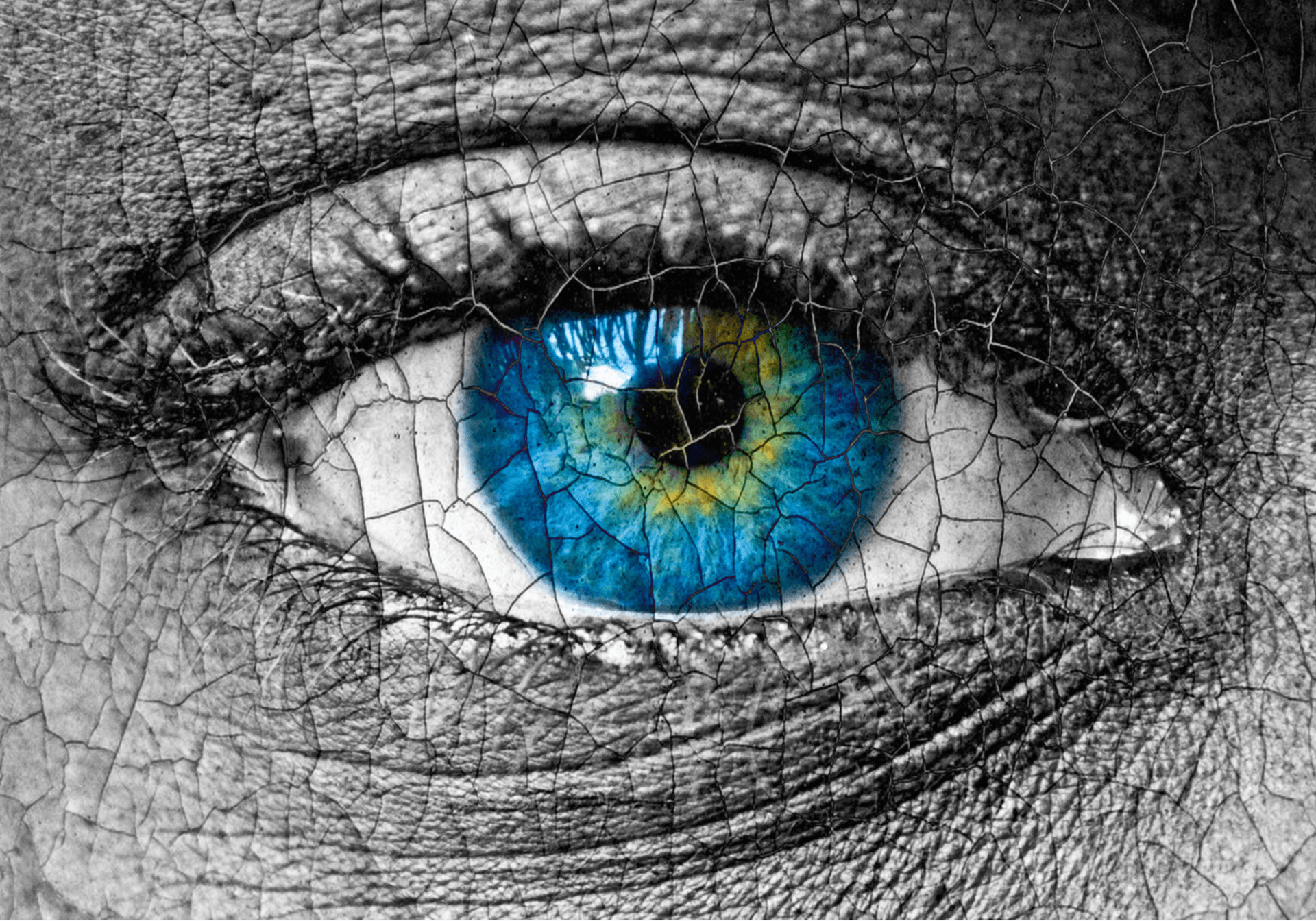 Welcome page| Talley Eye Institute