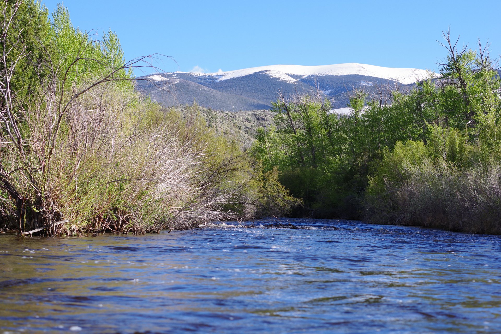 Fly Fishing Dubois, Wyoming - Fly Fishing Guides | Wind River Flyfitter