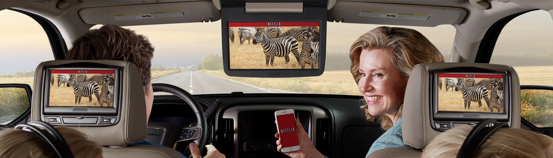 Car Video Headrest Systems and Installation | Greenville & Easley