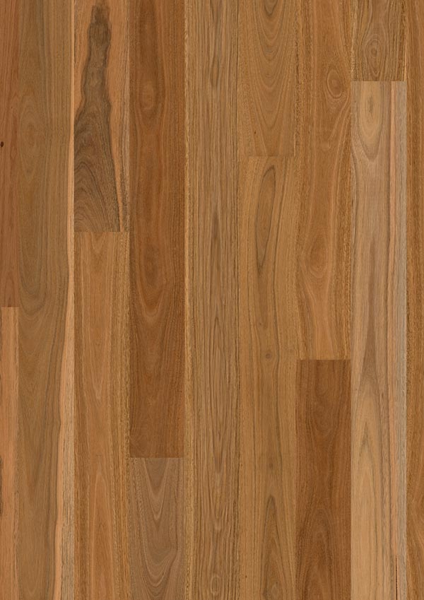 Timber Flooring Range | Hardwood Timber Floors - Lockwood Carpet
