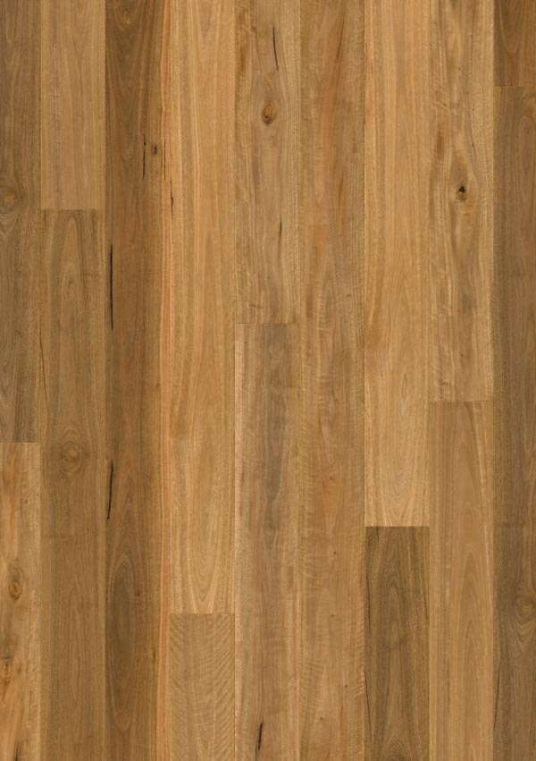 Timber Flooring Range | Hardwood Timber Floors - Lockwood Carpet