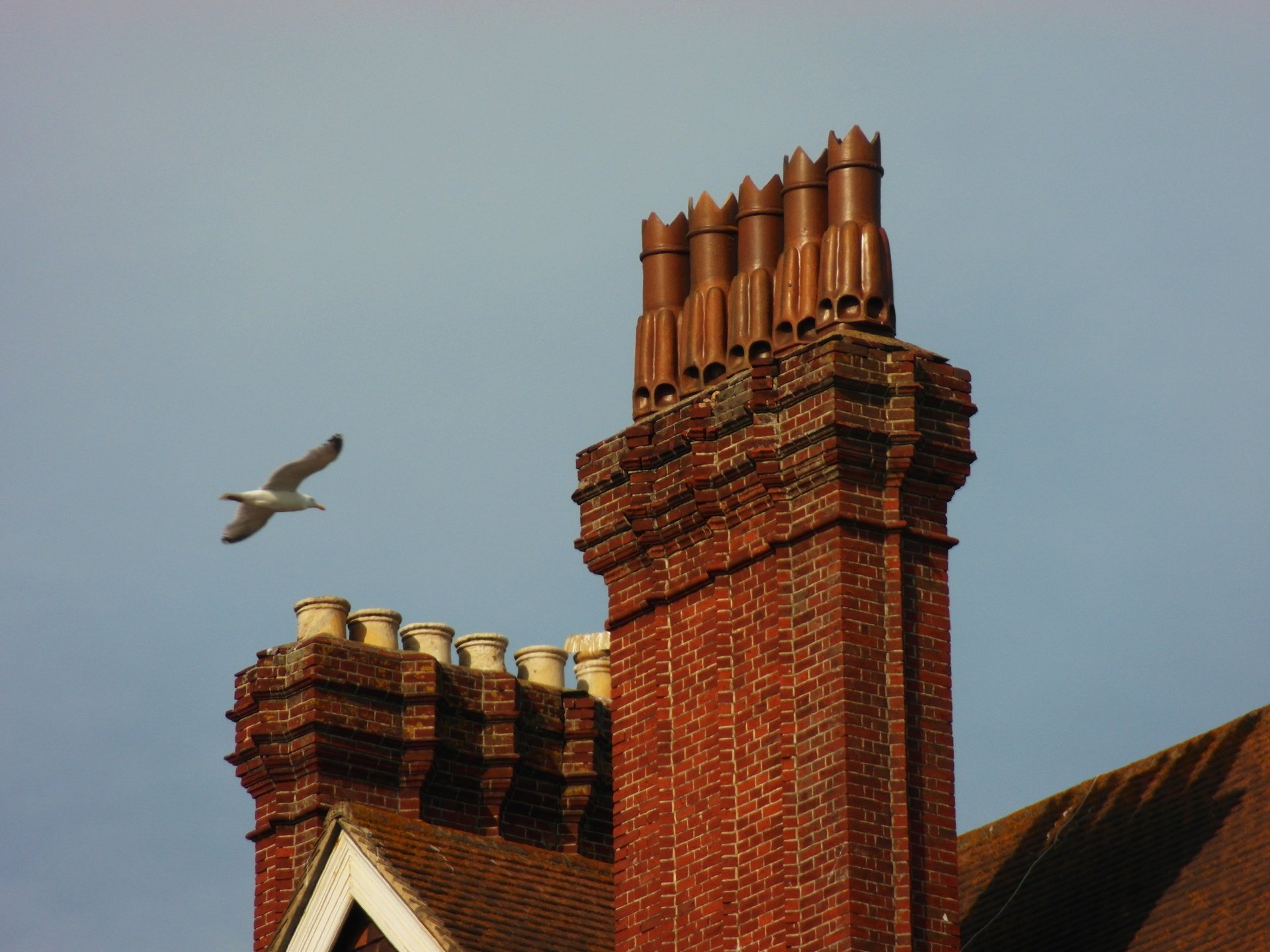 Chimney Sweep Brighton, Hove, Worthing & Portslade Areas