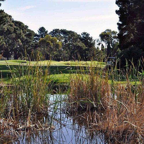 Midlands Golf Club | Midlands Ballarat RSL