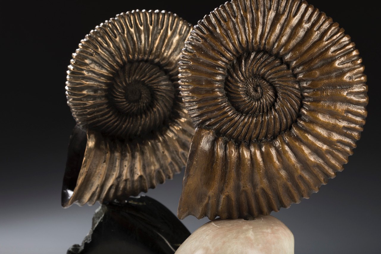 Ammonite Shell | Bronze Sculpture Art