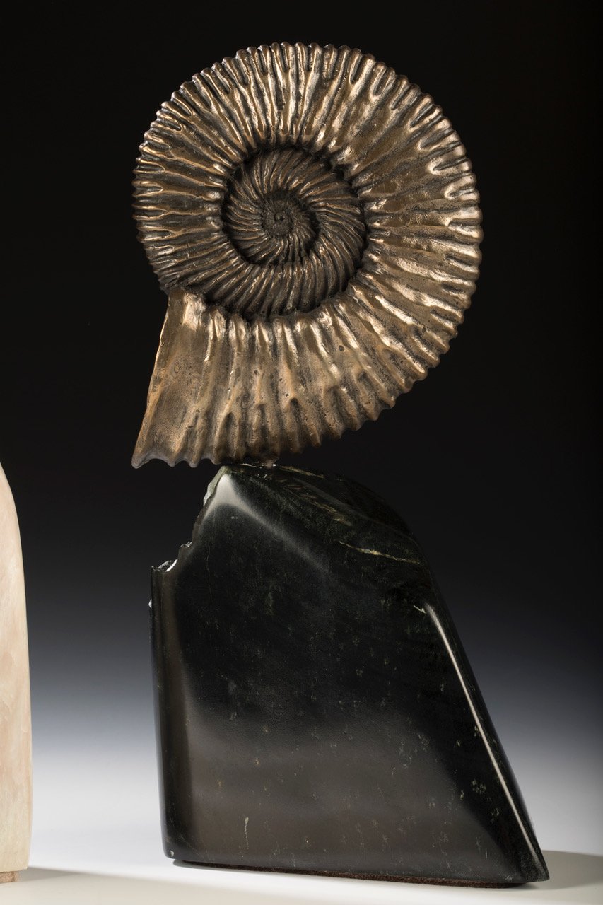 Ammonite Shell | Bronze Sculpture Art