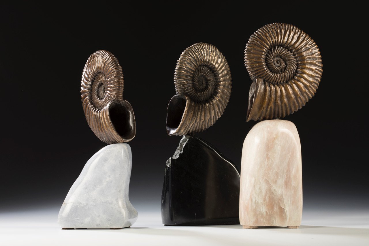 Ammonite Shell | Bronze Sculpture Art