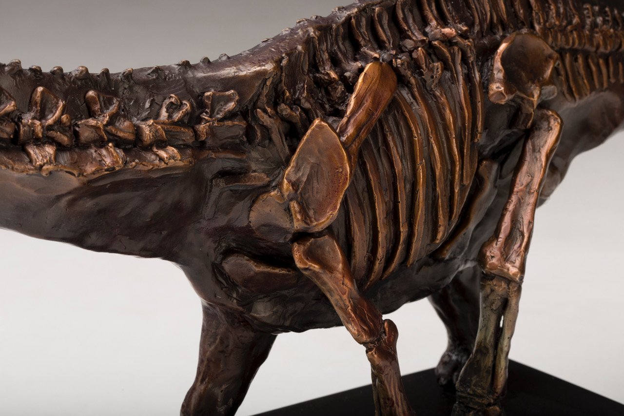 Galeamopus Skeletal Study in Bronze