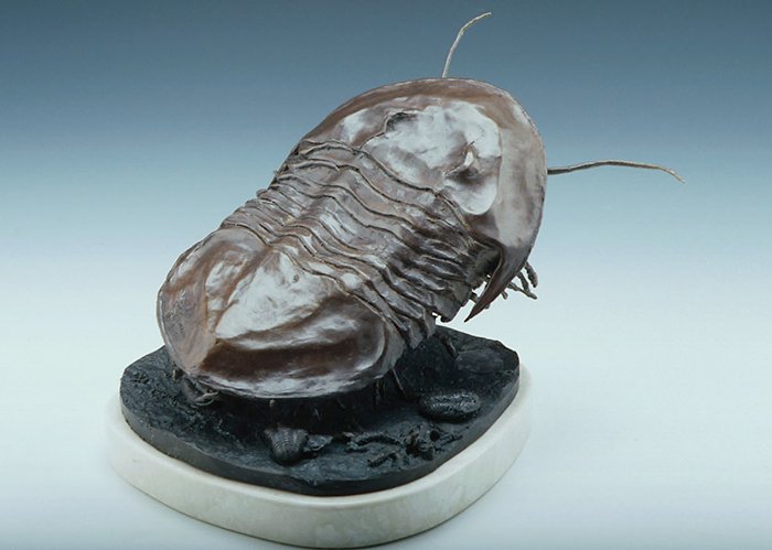 Isotelus Maximus, Trilobite Bronze Art