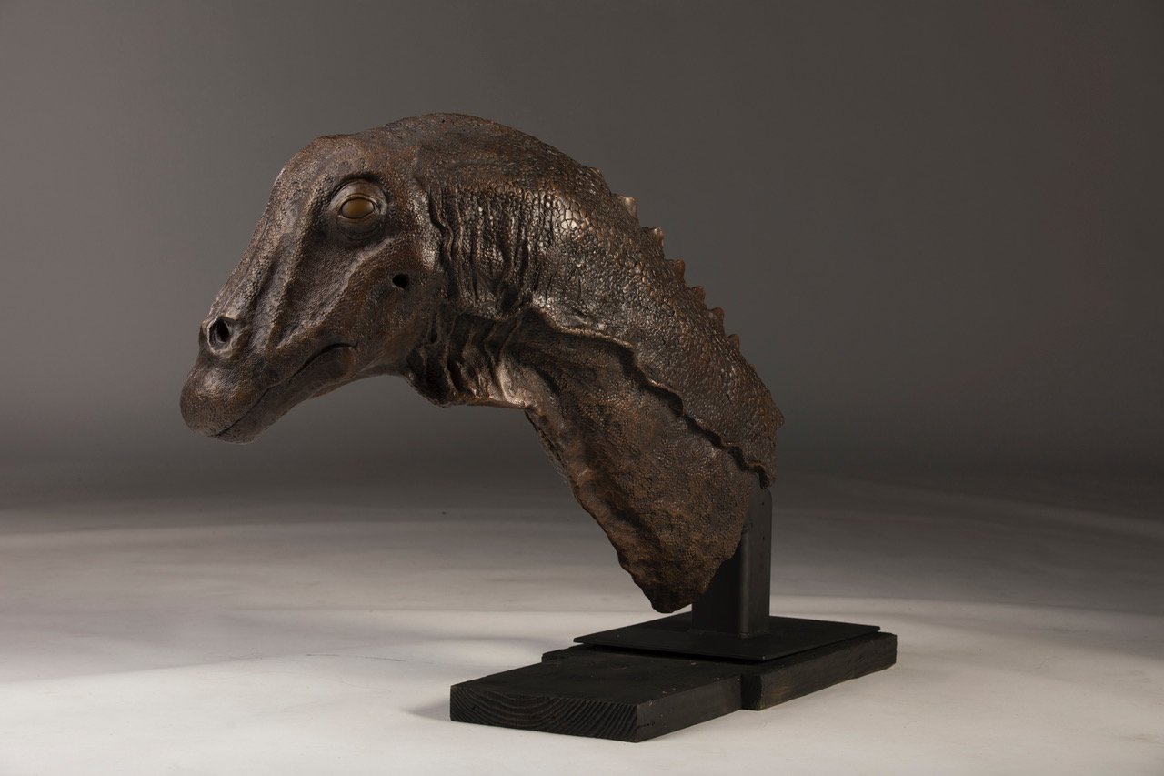 Galeamopus Bust Bronze Sculpture Art