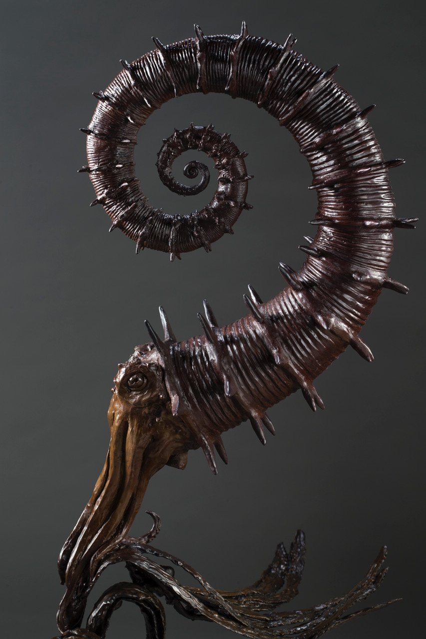 Heteromorphic Ammonites Bronze Art