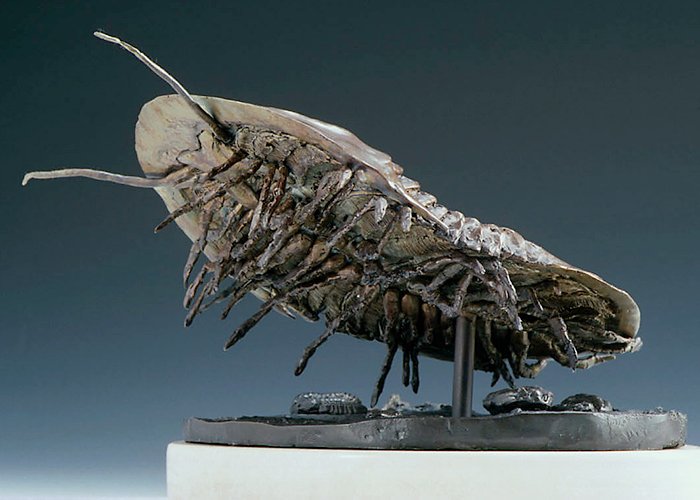 Isotelus Maximus, Trilobite Bronze Art