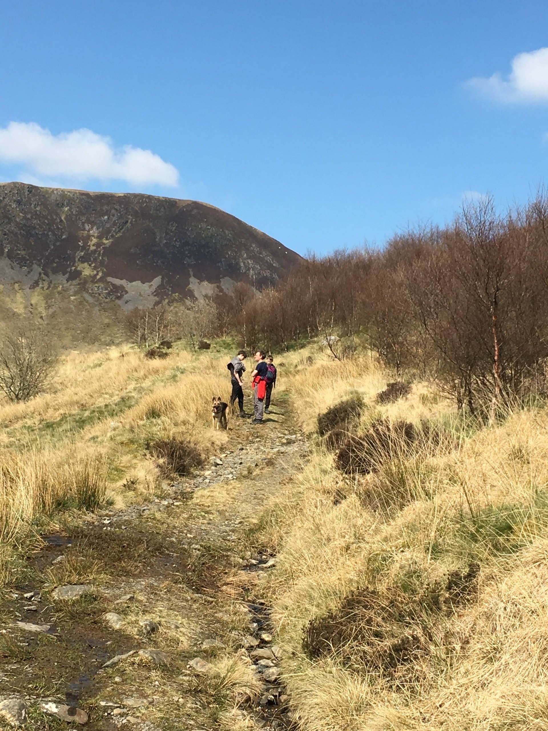 Our Walking Gallery | Walk Moffat