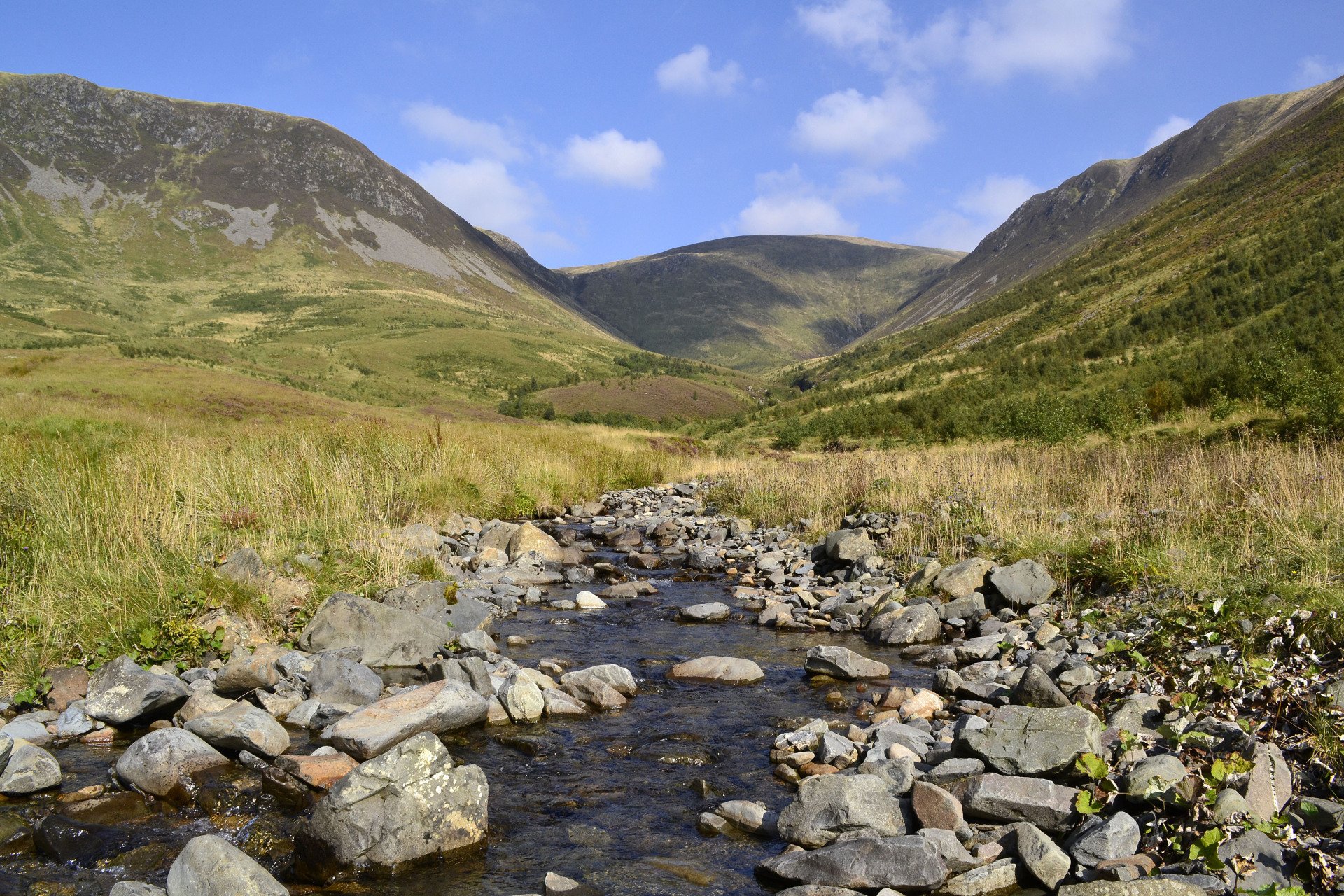 Experience the immense beauty that Moffat offers | Walk Moffat