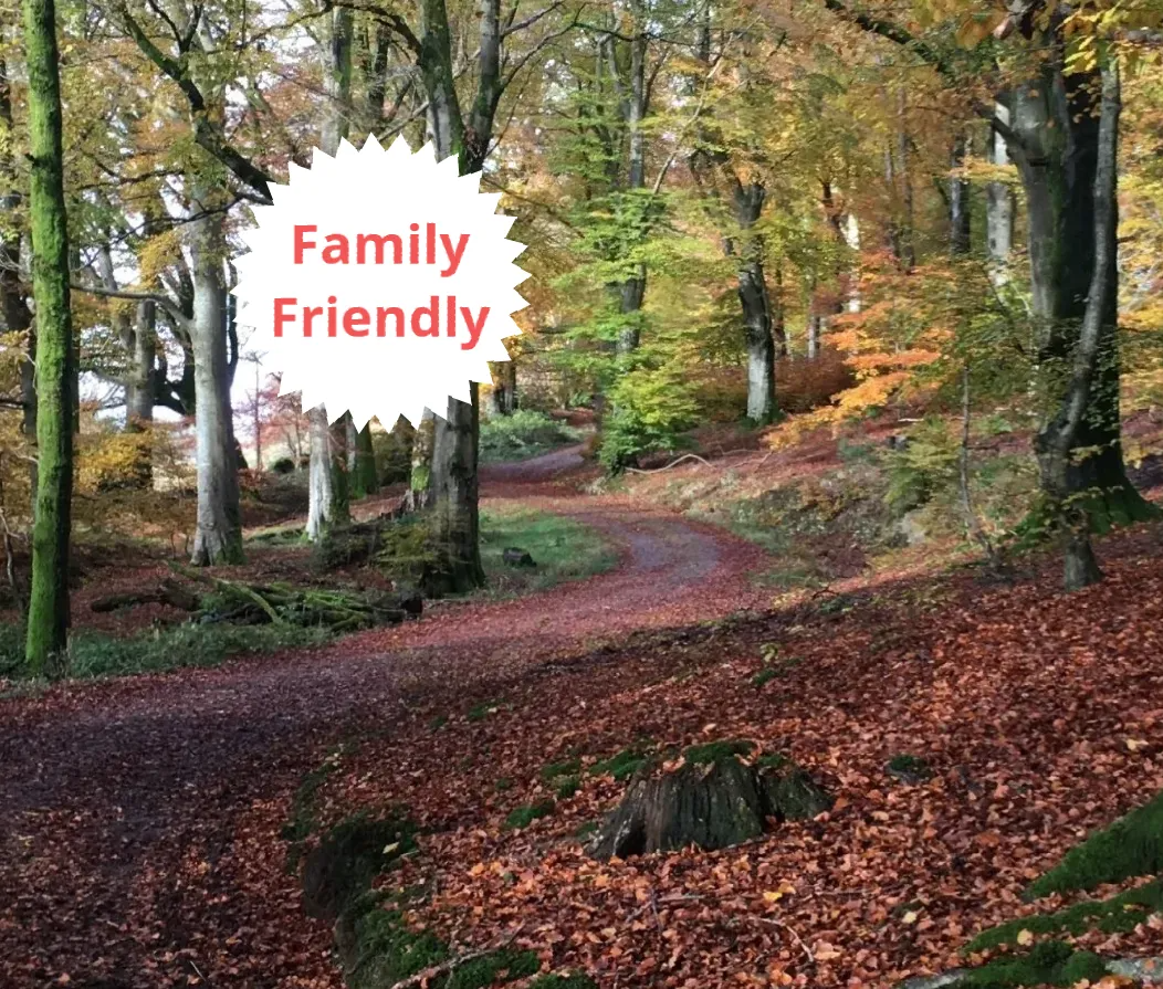 Experience the immense beauty that Moffat offers | Walk Moffat