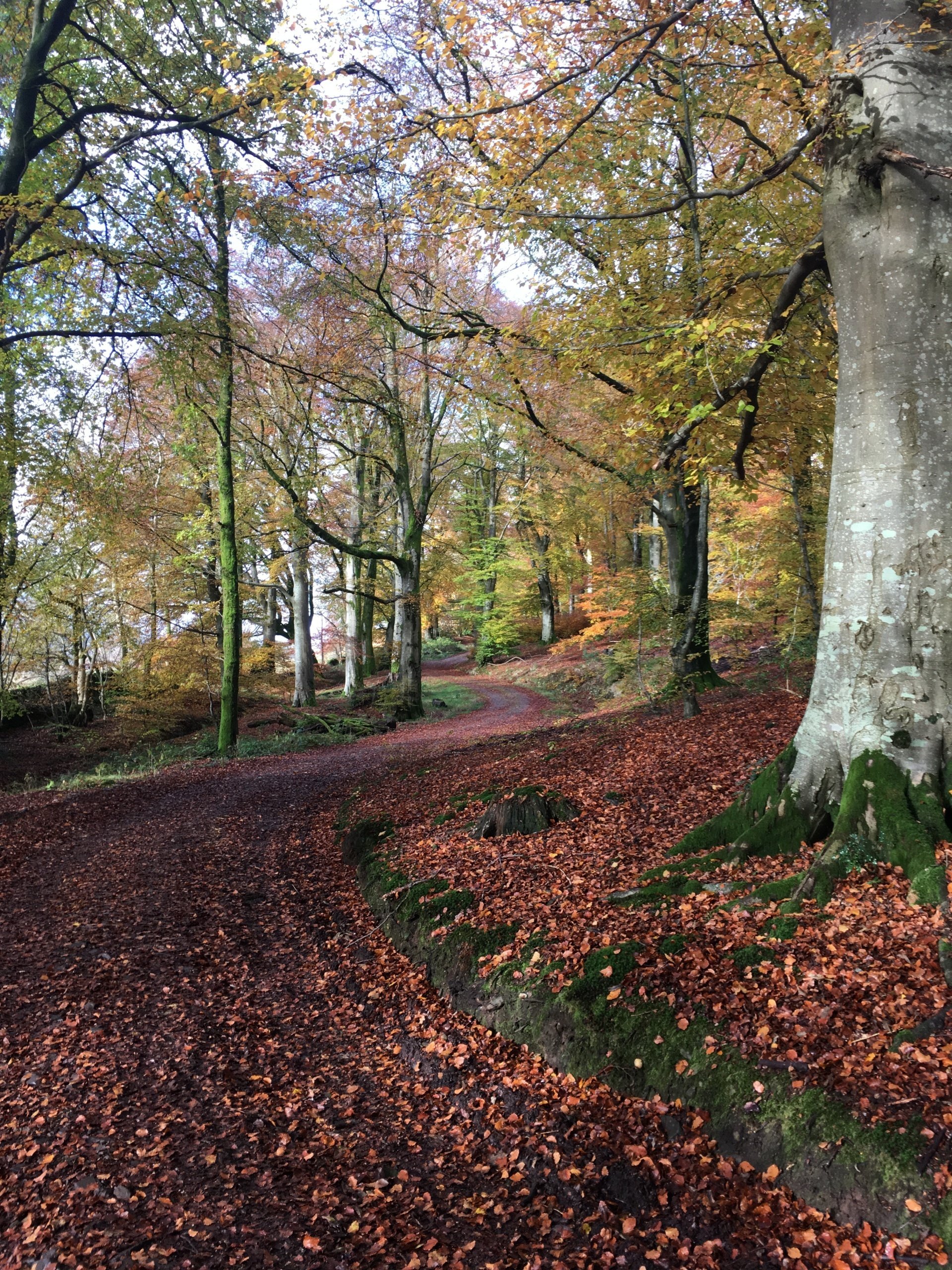 Our Walking Gallery | Walk Moffat