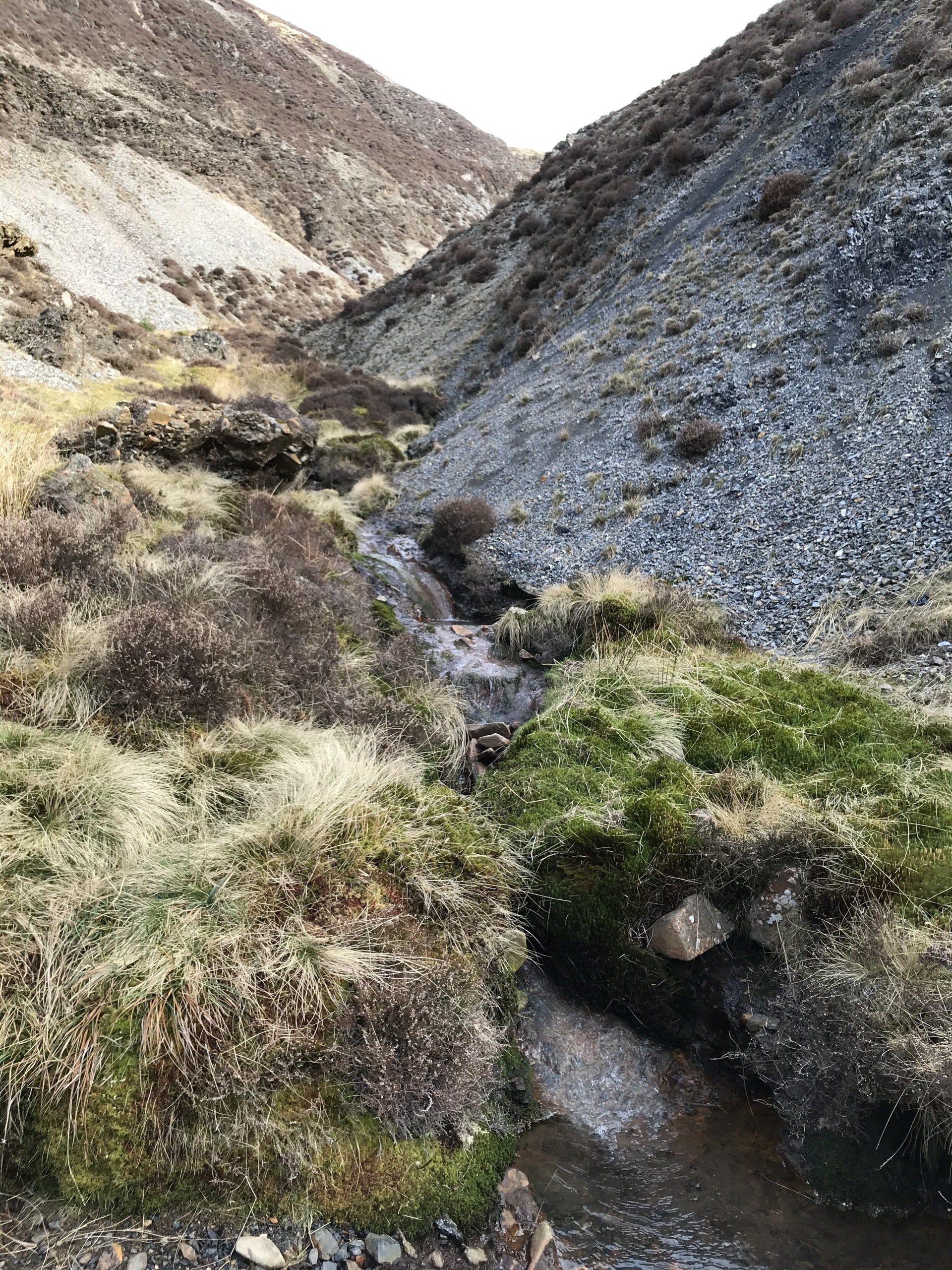 Our Walking Gallery | Walk Moffat