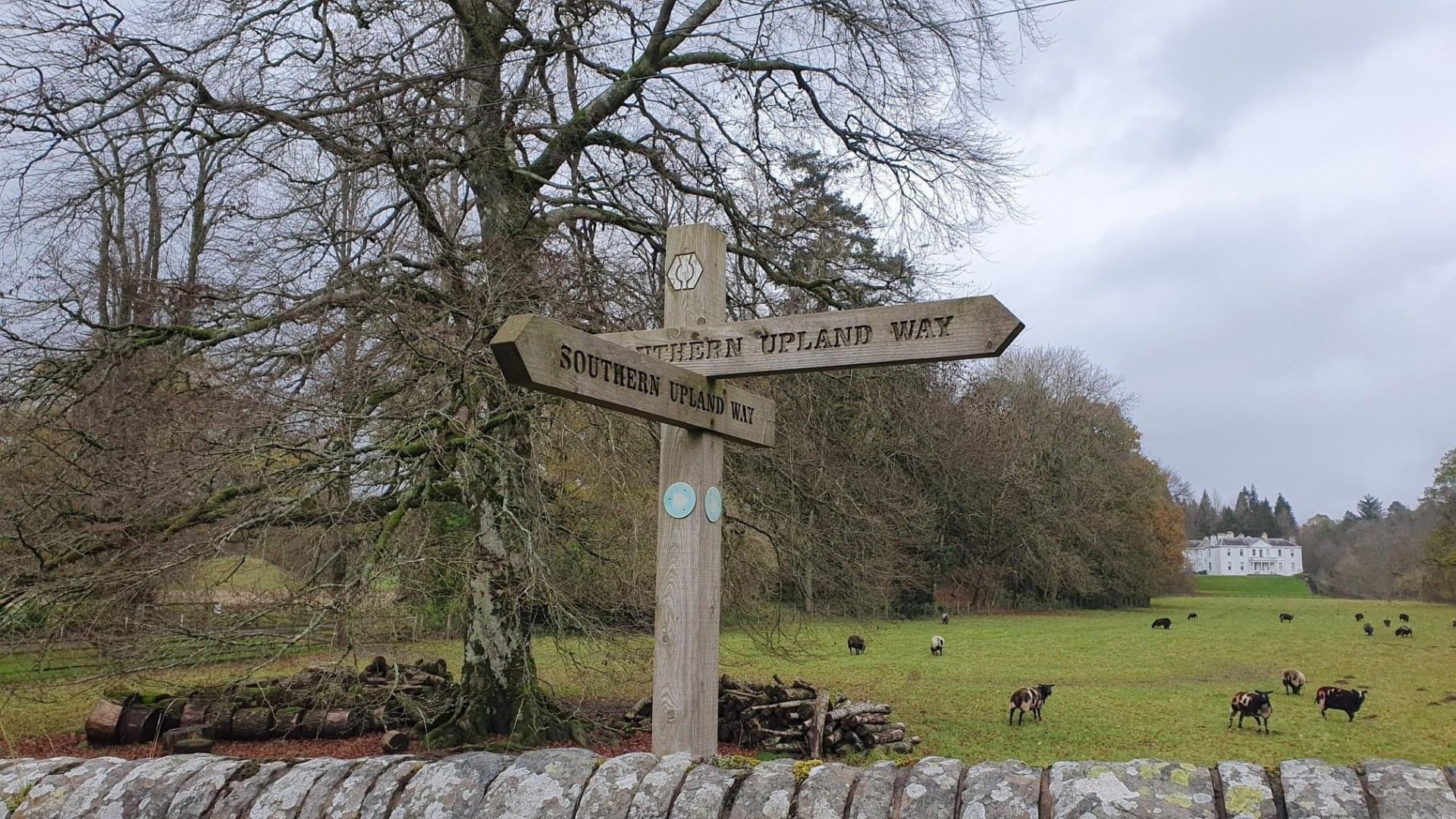 Our Walking Gallery | Walk Moffat
