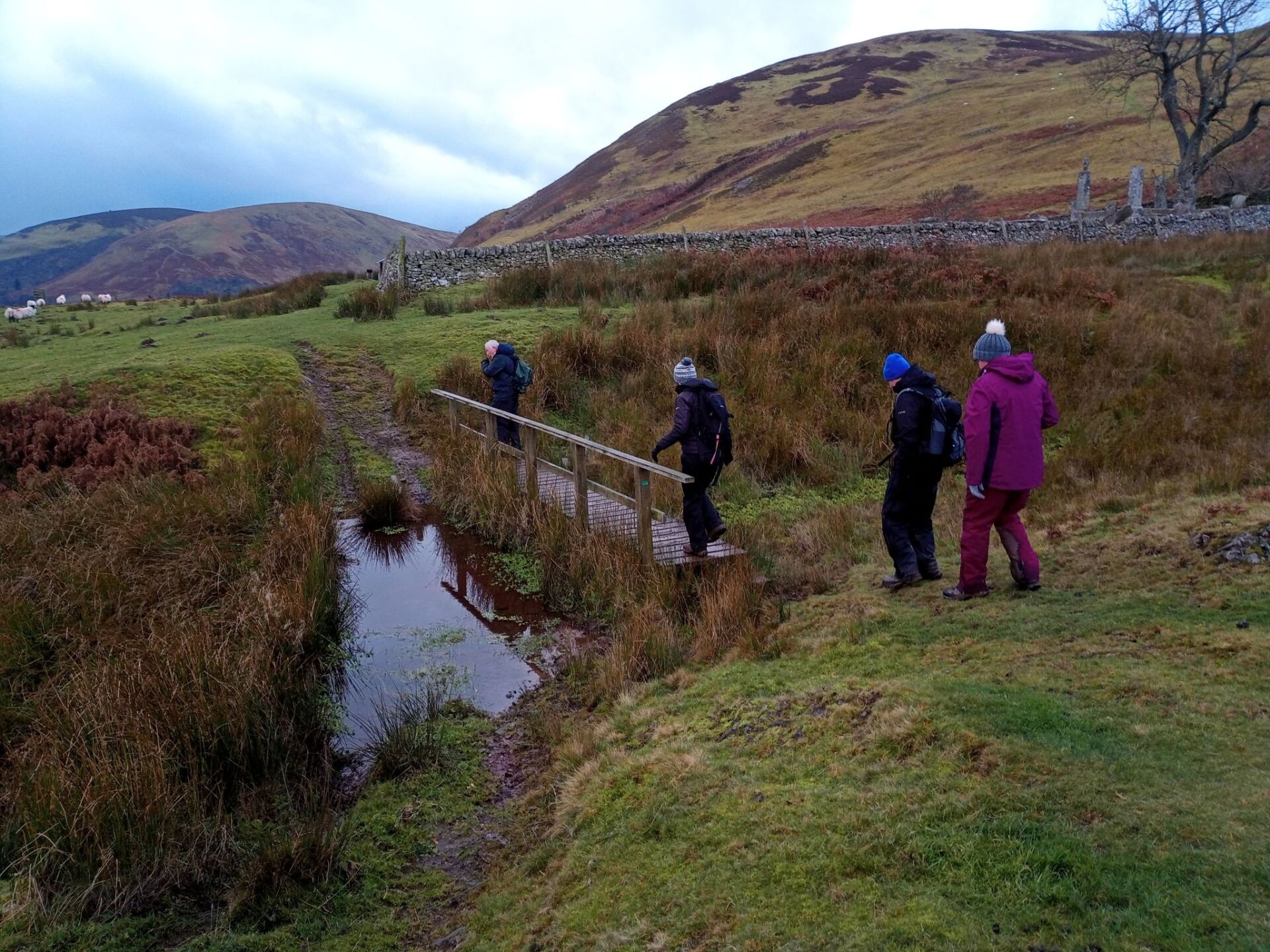 St Mary's Loch Circuit | Walk Moffat