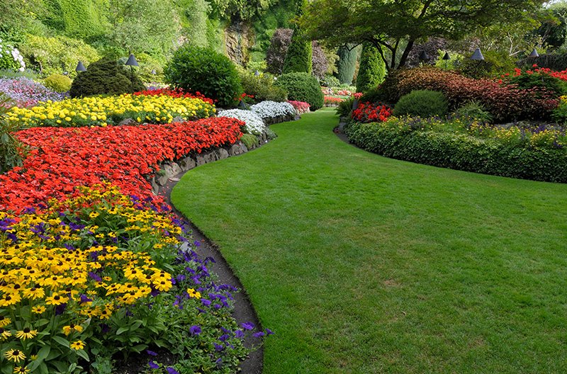 Landscaping | Framingham, MA | D & M Landscape and Construction