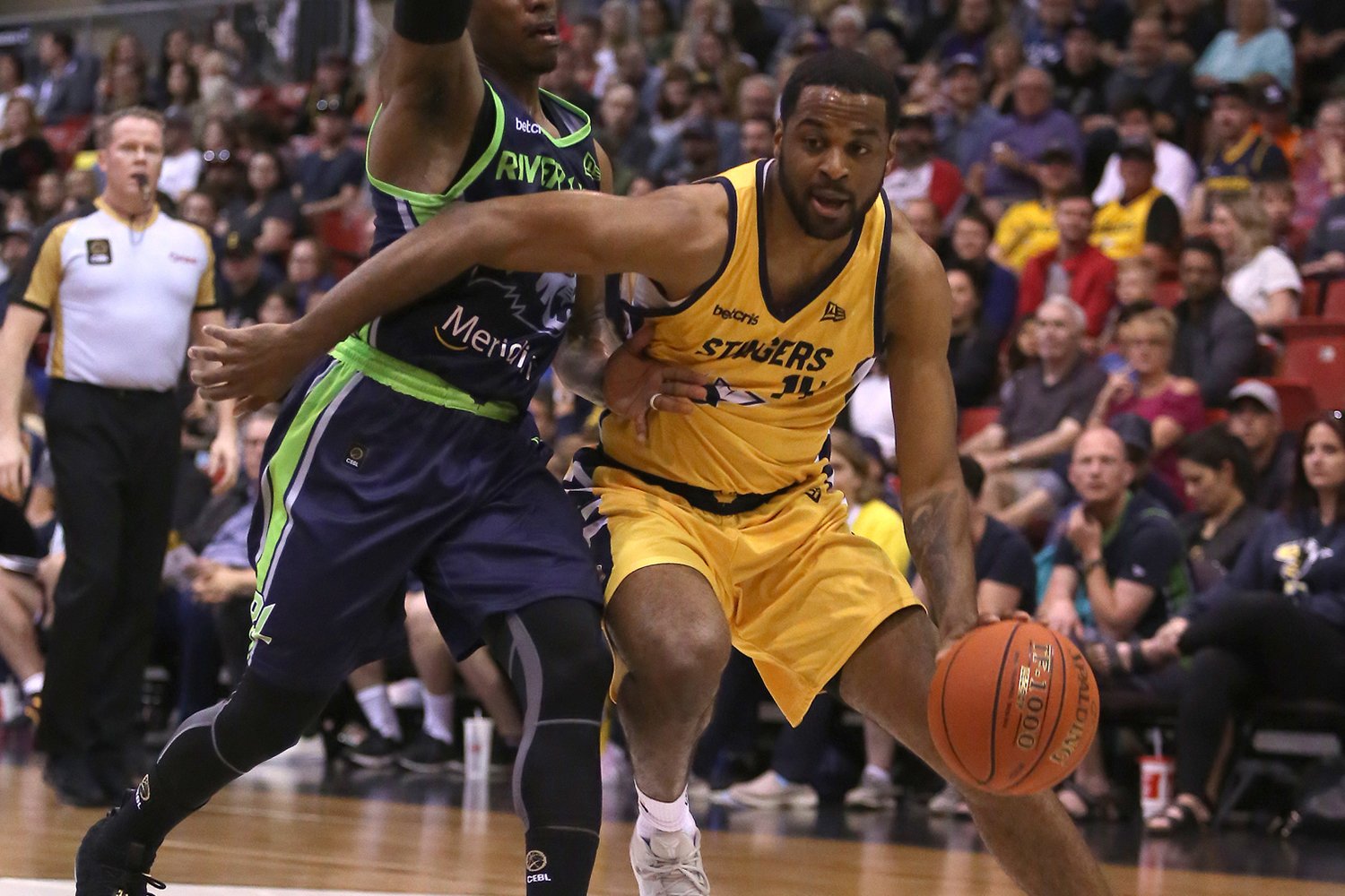Edmonton Stingers Professional Basketball