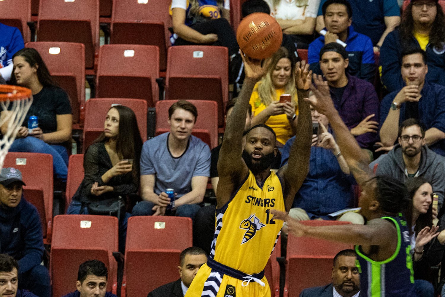 Edmonton Stingers Professional Basketball