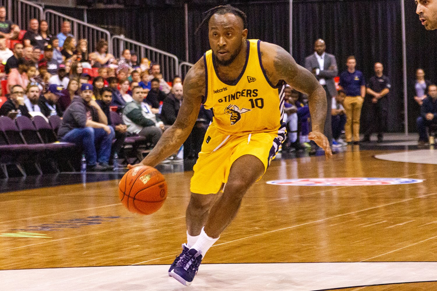 Edmonton Stingers Professional Basketball