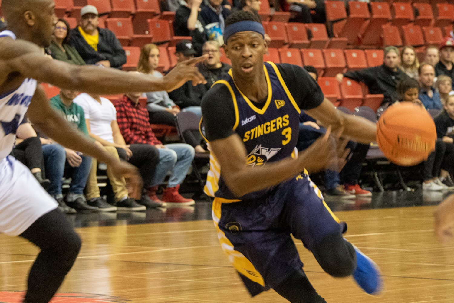 Edmonton Stingers Professional Basketball