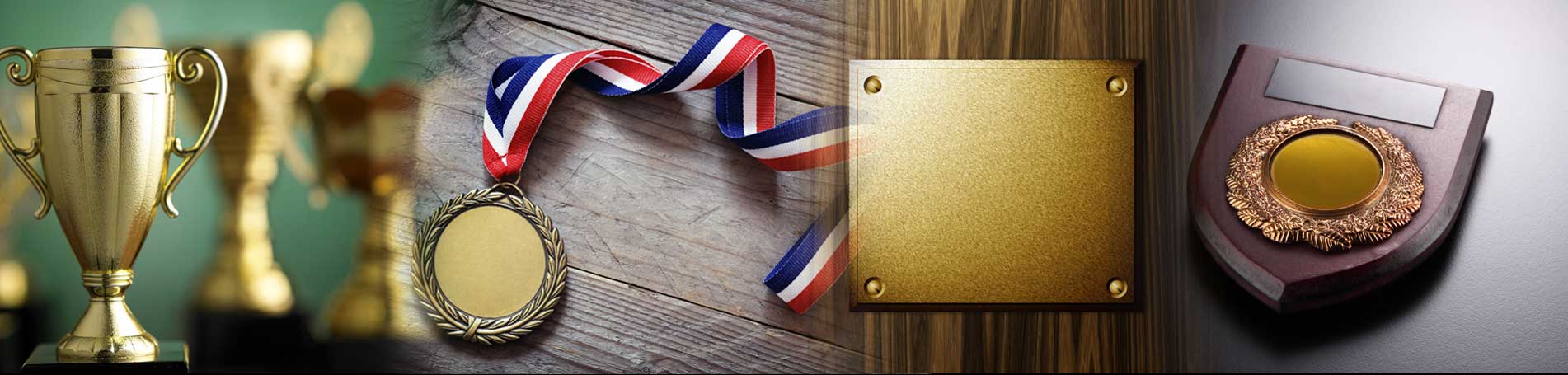 Booby Prize Medal in Presentation Box | Last Place - Loser