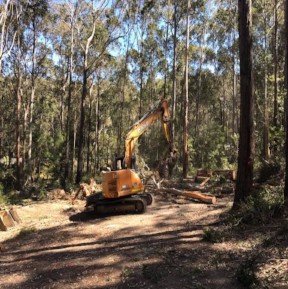 Home - Zenith Tree ServicesZenith Tree Services | Eurobodallah and all ...