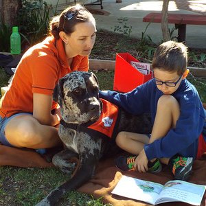 Literacy Charities Serving all of Australia| Story Dogs