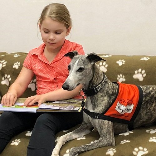 Literacy Charities Serving all of Australia| Story Dogs