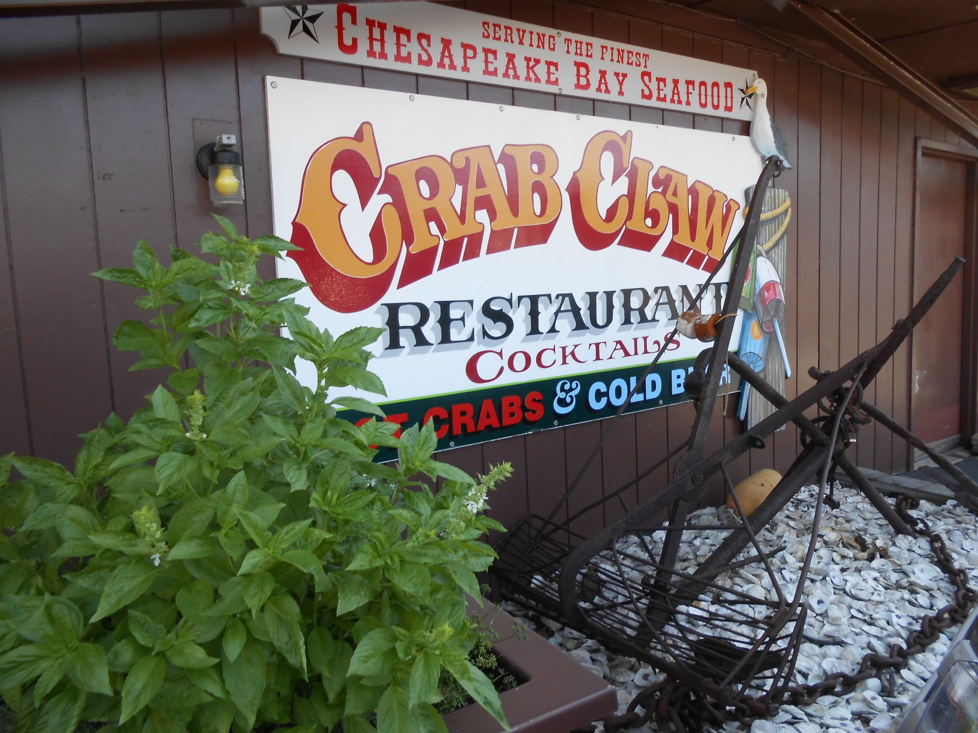 Home [www.thecrabclaw.com]