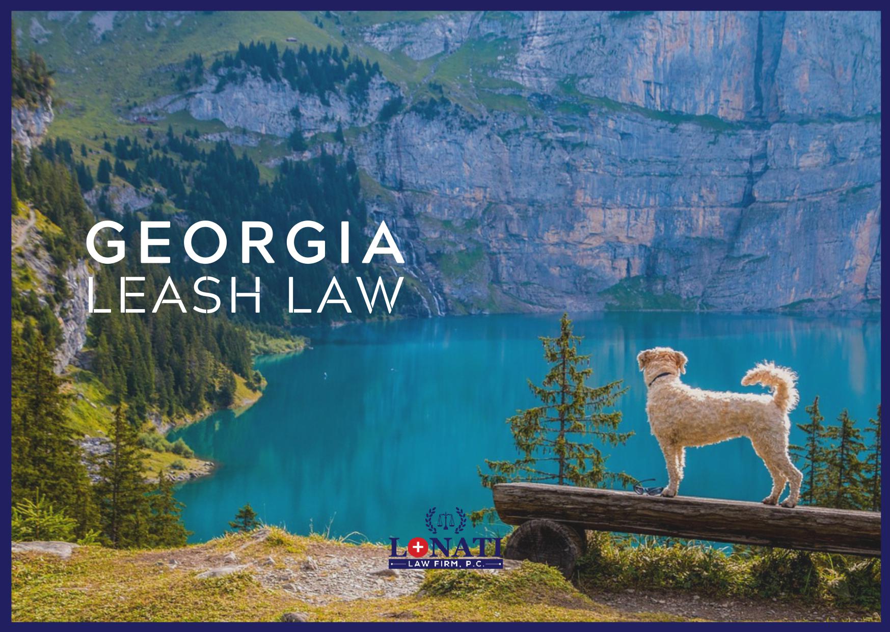 Georgia Leash Law Info FAQs Georgia Leash Law Info FAQs