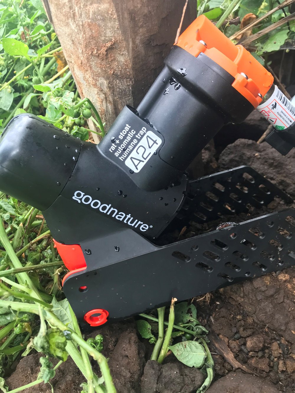 Rodent Control | Bowen & Bug Blocker Service | Bradford, FL