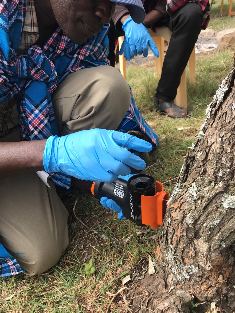 Home Pest Control | Bowen & Bug Blocker Service | Bradford, FL