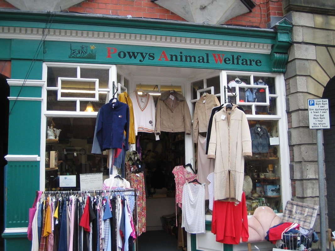 Powys Animal Welfare - Gallery