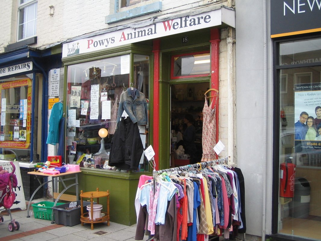 Powys Animal Welfare - Gallery