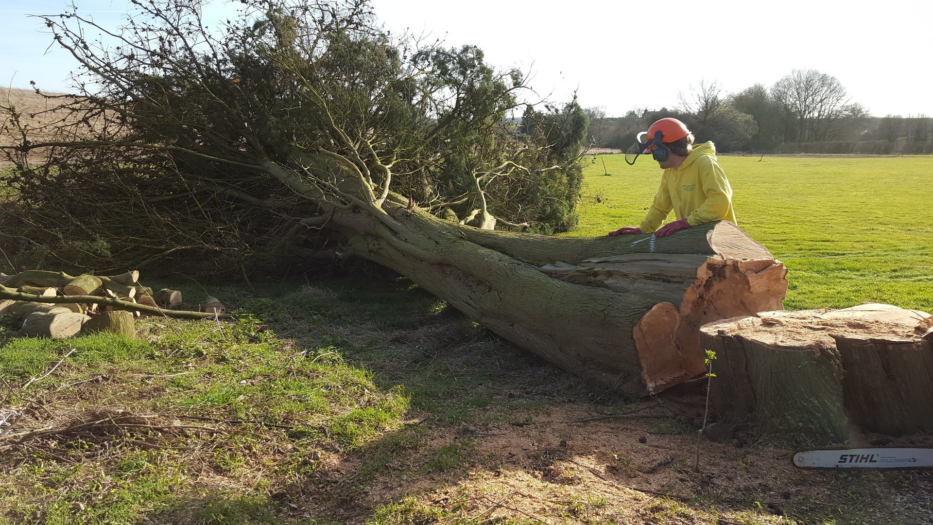 Gardens Arb Business Ltd | Garden Maintenance | St Edmunds