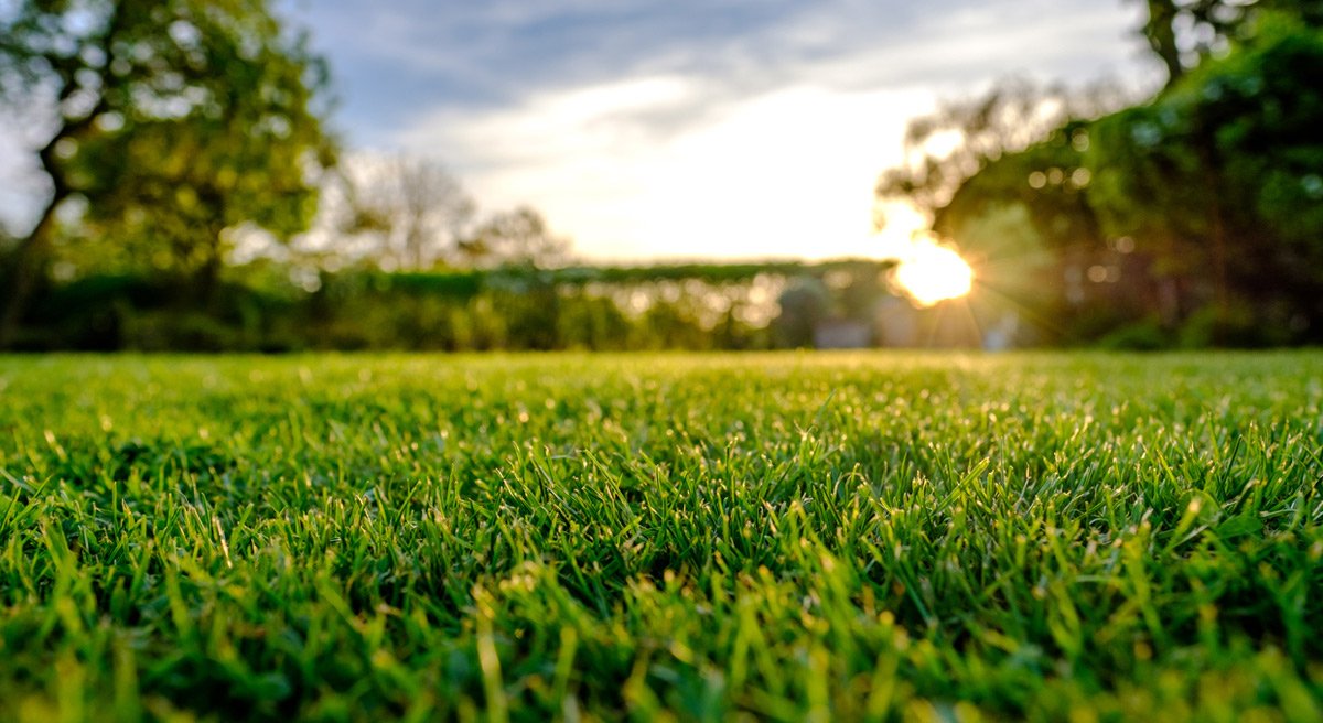 Valley Grass Farms - Taking Care of Your Grass