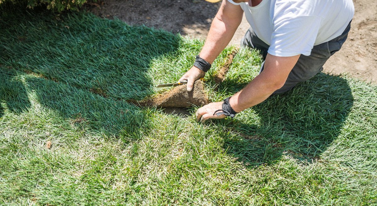 Valley Grass Farms - Taking Care of Your Grass