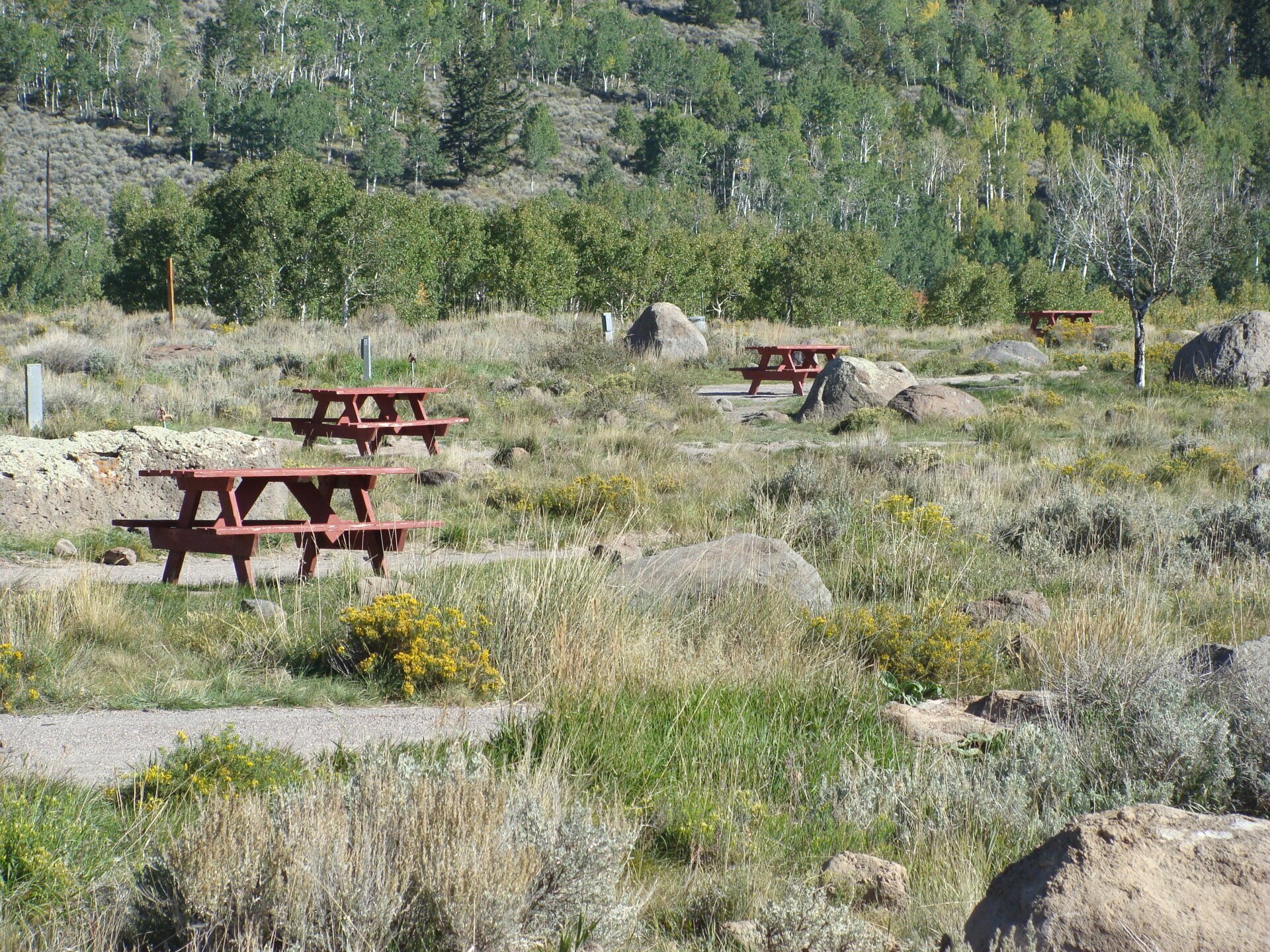 Fish Lake Resorts | GALLERY - Come Catch Yours!