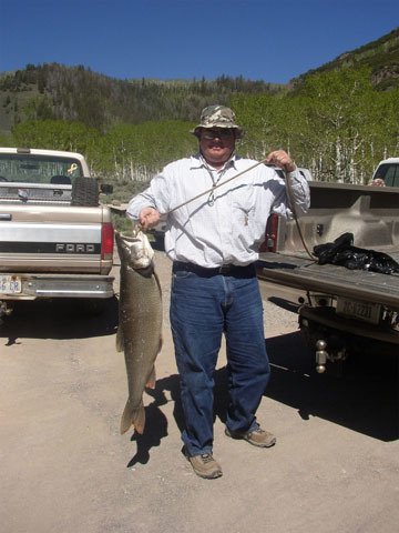 Utah's Fish Lake Resorts is your mountain vacation getaway.