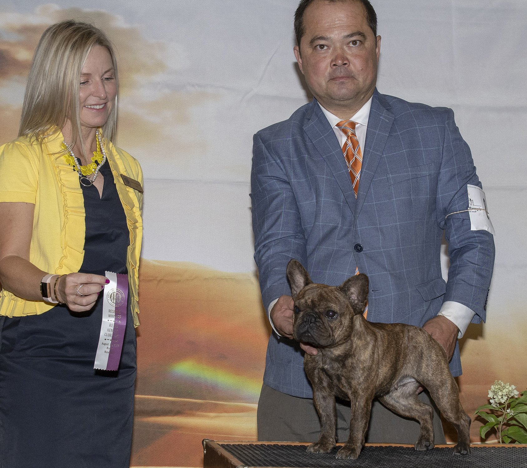 High Desert's French Bulldogs- World's Smallest Purebred Frenchies