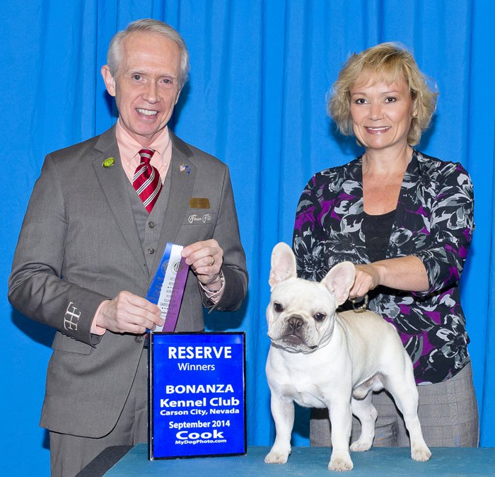 High Desert's French Bulldogs- World's Smallest Purebred Frenchies