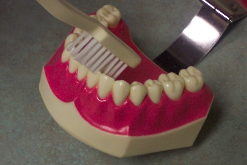 How to Brush Your Teeth - Flushing Family Dentistry