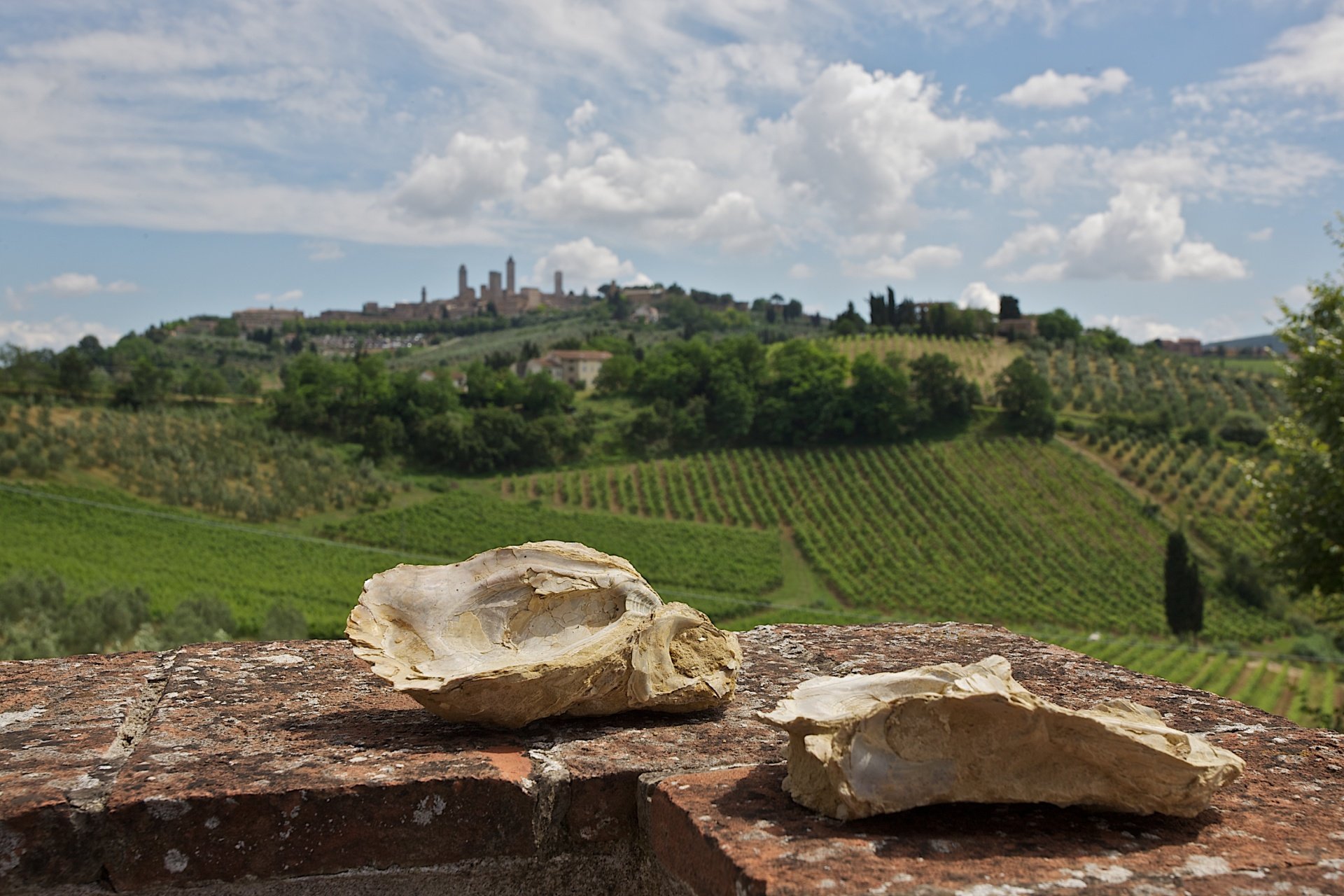 CASALE FALCHINI | San Gimignano, SI | Casale Falchini